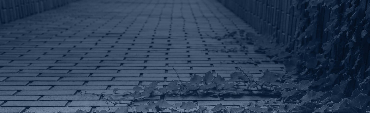 We’re Proud to Announce the (Soft) Launch of Decision Lens University!